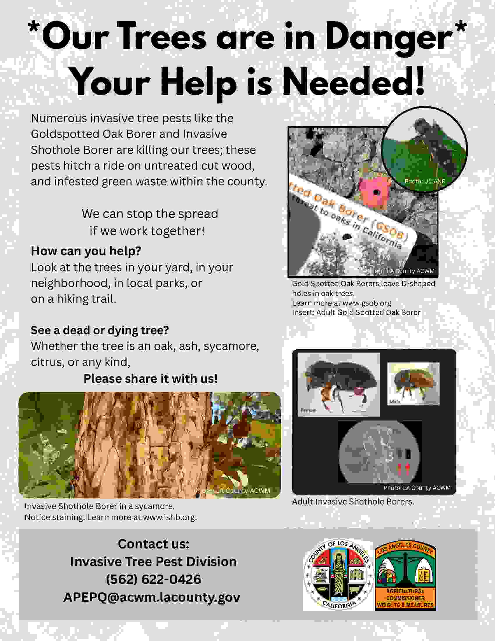 LA County Tree Hub